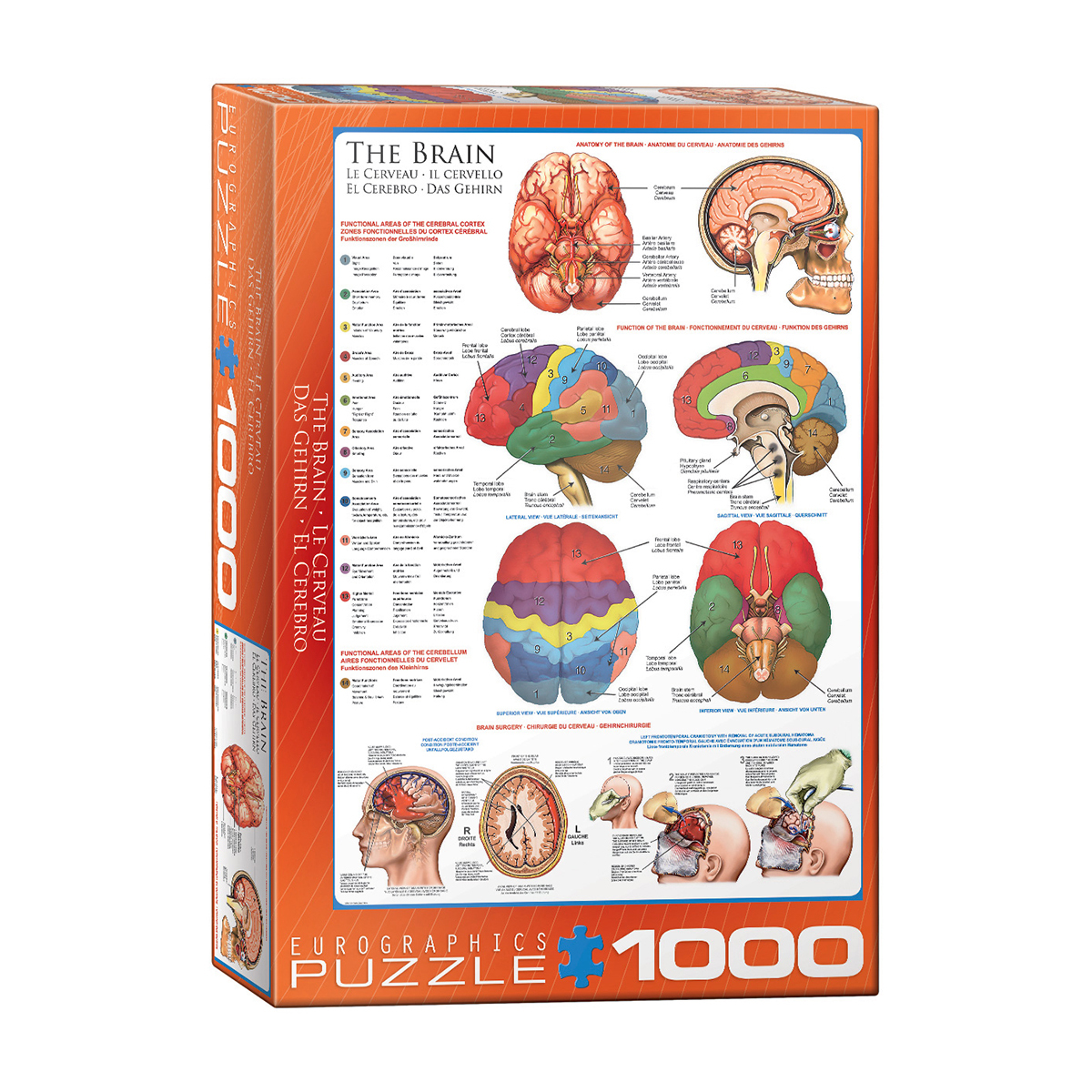The Brain 1000pc Jigsaw Puzzle