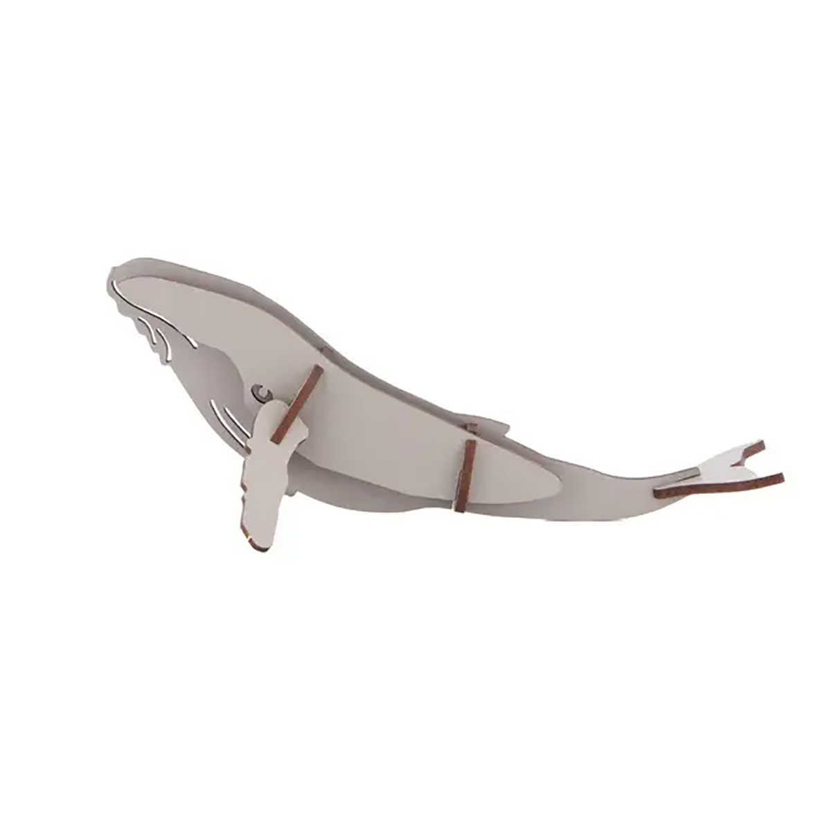 Humpback Whale Wooden Model Kit