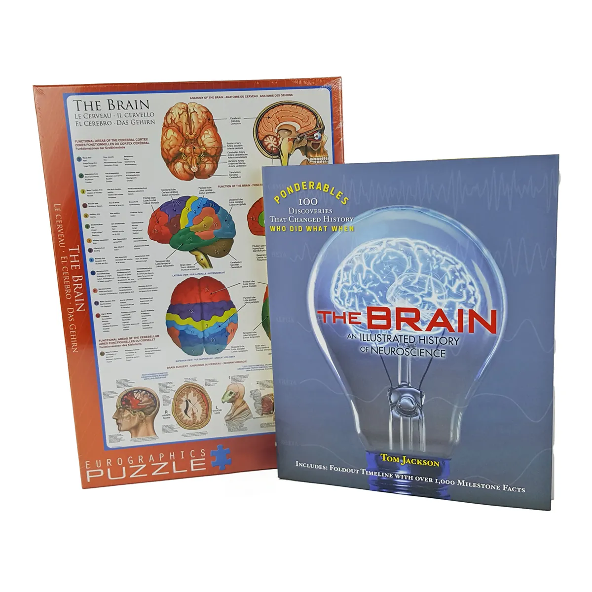 Intrigued by the Brain Pack